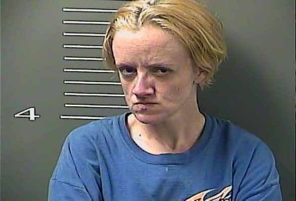 JESSICA ELKINS - Big Sandy Area Mugshots News
