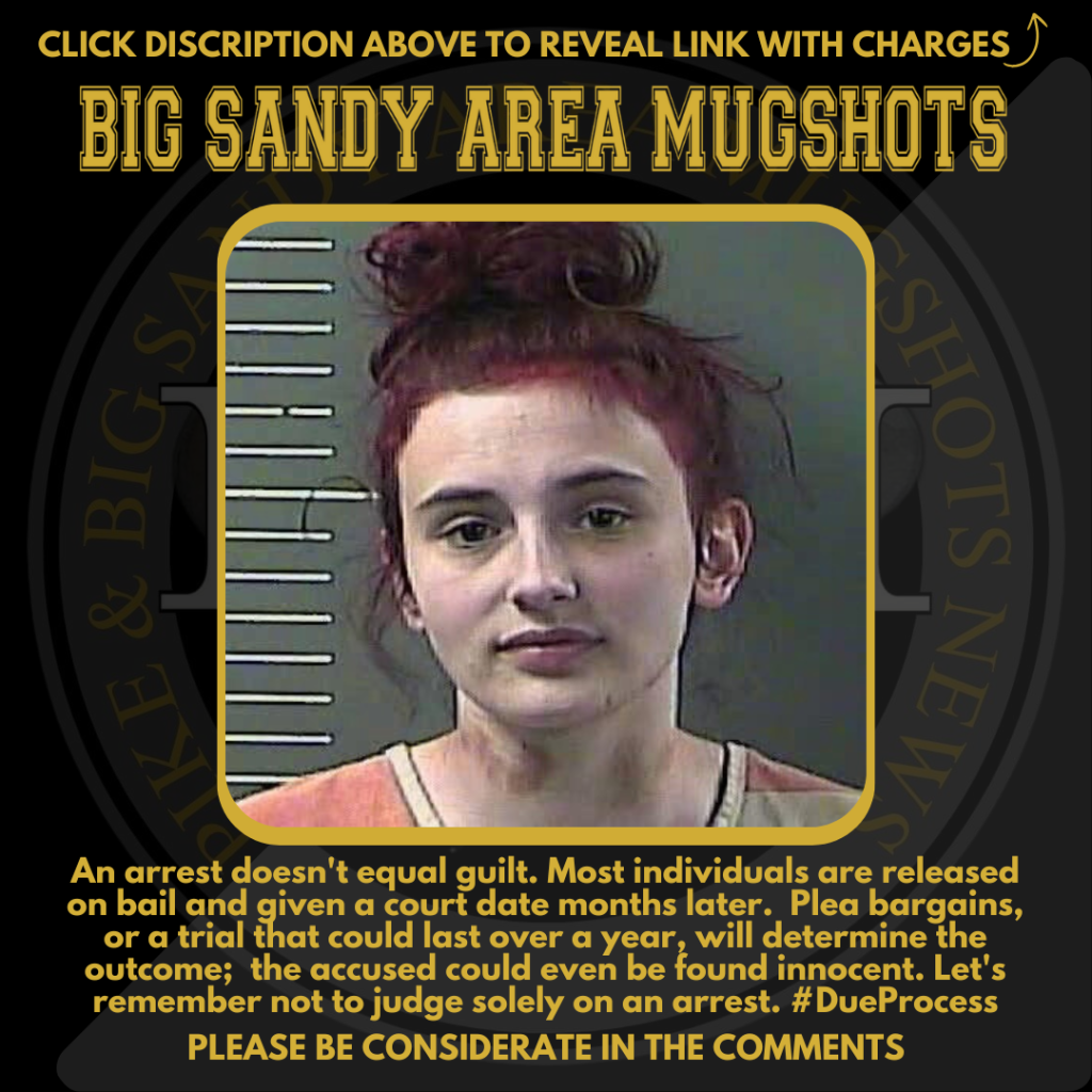 ALEXIS COLLINS - Big Sandy Area Mugshots News